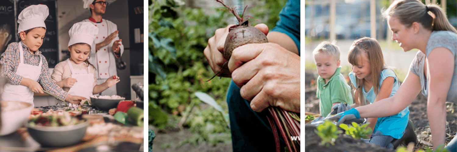 Projects for climate & environmental protection: 7 ways to get involved ...