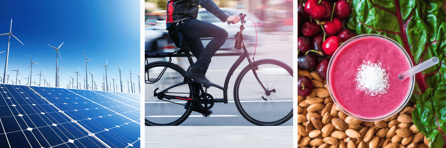 Projects for climate & environmental protection: 7 ways to get involved ...